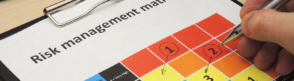 Risk Management - NZ Survivor